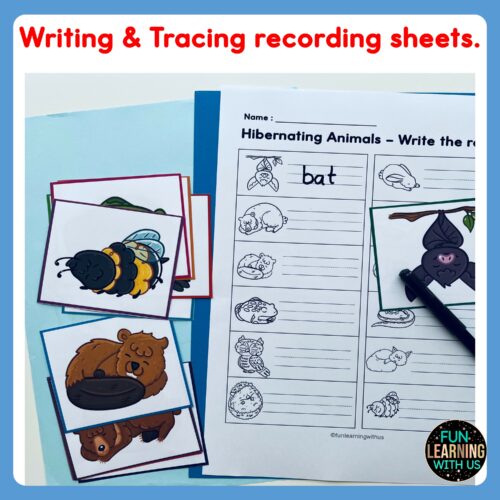 Hibernating Animals Write the Room - Animals that Hibernate in Winter ...