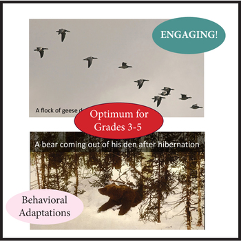 Animal Adaptations PowerPoint - Made By Teachers