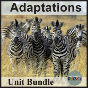 Animal Adaptations Unit Bundle | Made By Teachers