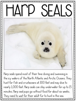 Winter Nonfiction Reading Comprehension Passages and Activities | Made ...