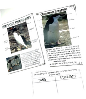 Winter Nonfiction Reading Comprehension Passages and Activities | Made ...