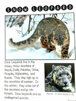 Winter Nonfiction Reading Comprehension Passages and Activities | Made ...