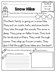 January Reading Fluency | Made By Teachers