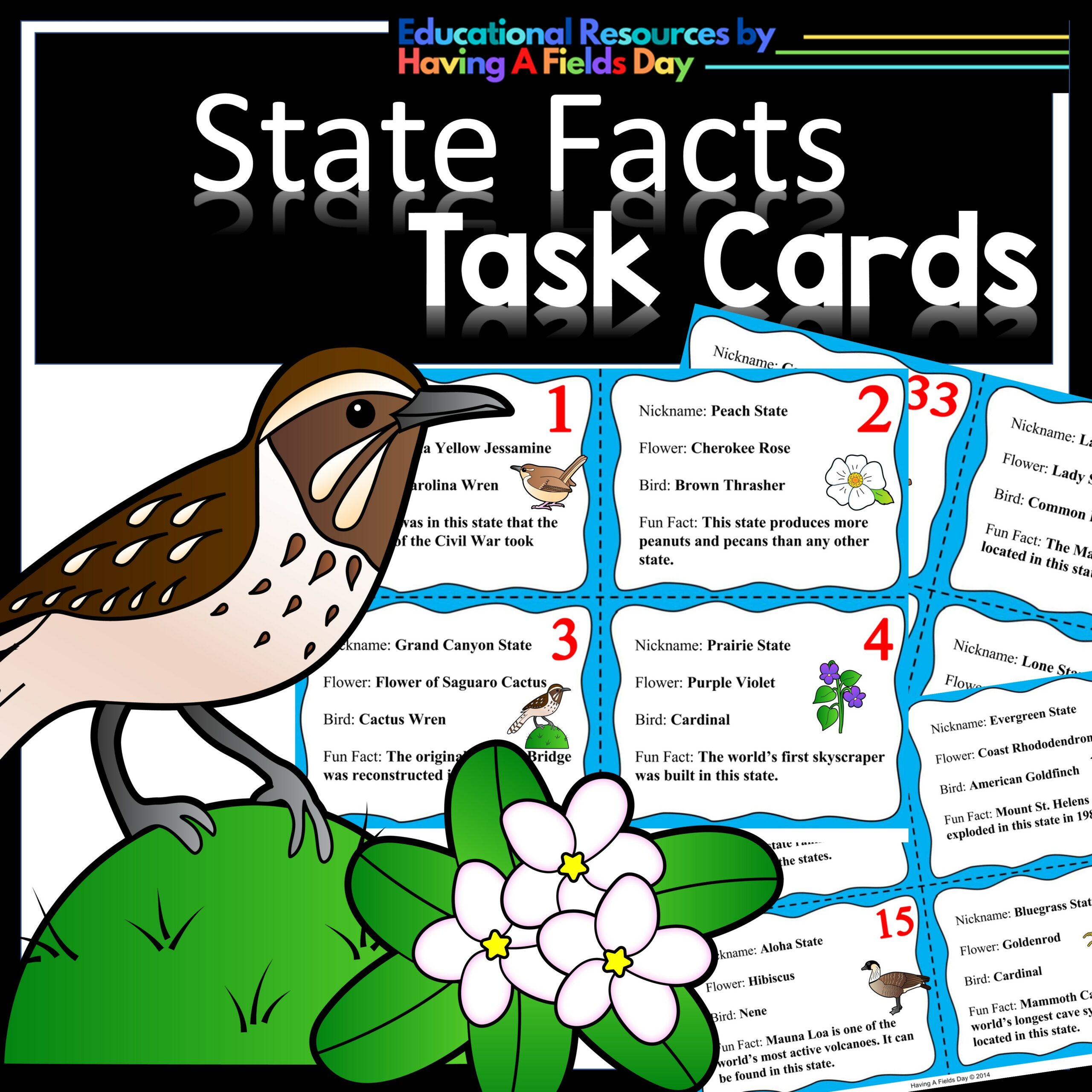 State Facts Task Cards | Made By Teachers