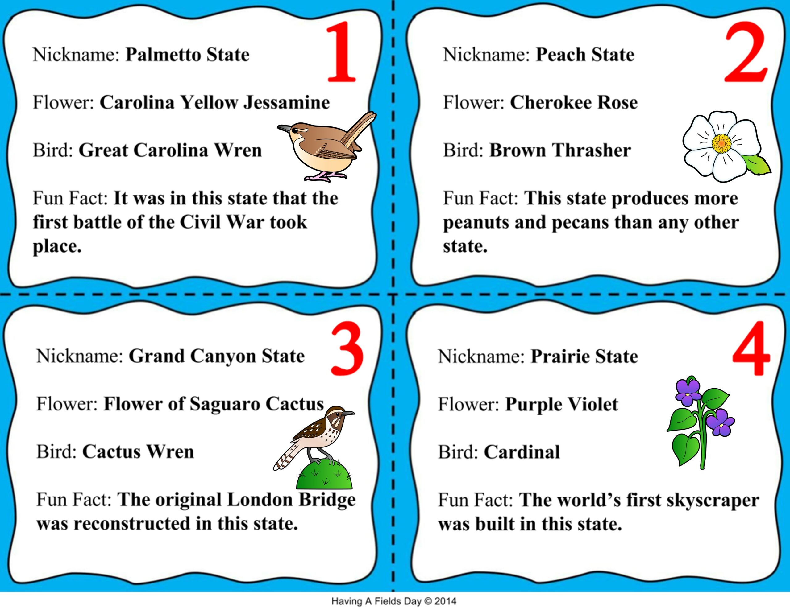 State Facts Task Cards | Made By Teachers