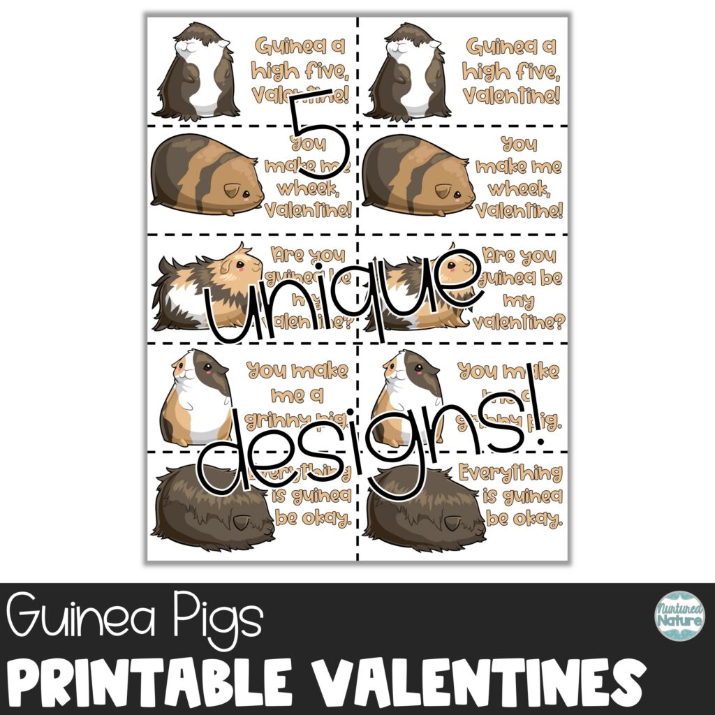 Guinea Pig Valentines - Printable Cards for Students | Made By Teachers