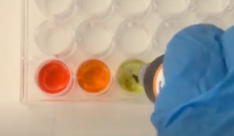 7.PS1.2 Properties of Matter (pH) Video Lab OAS NGSS | Made By Teachers