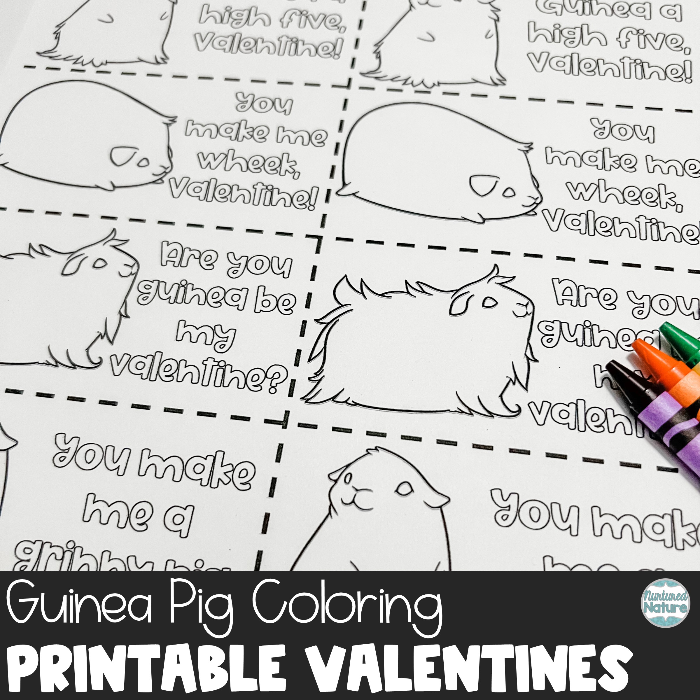 Guinea Pig Coloring Valentine’s Day Cards Printable - Made By Teachers