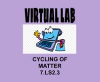 7.LS2.3 Cycling of Matter Video Lab | Made By Teachers