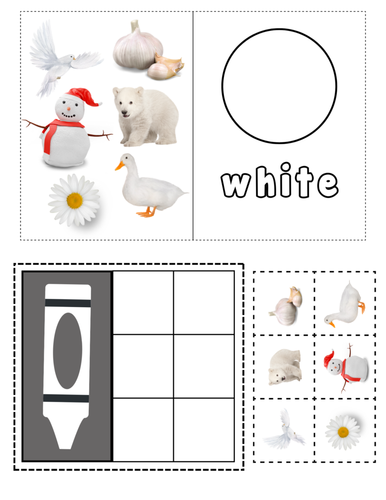 137 I Know My Colors Themed Workbook with No Prep Worksheets and ...