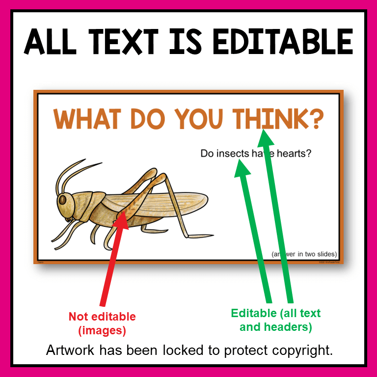 Valentines Day Library Lesson - American Heart Month - Body Systems ...