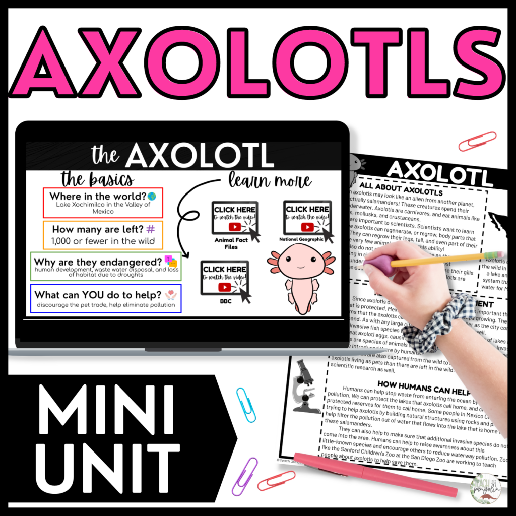 Axolotls Science Reading Comprehension Passage and Questions | Made By ...