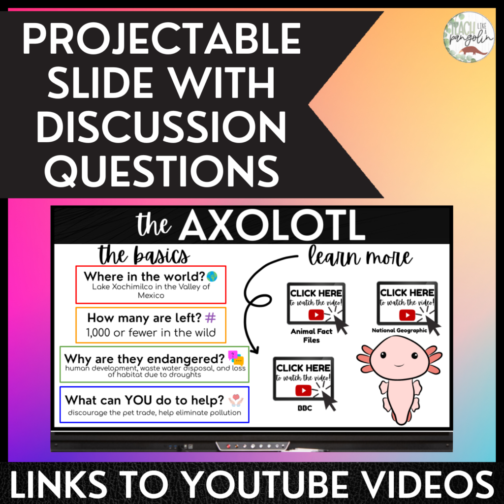 Axolotls Science Reading Comprehension Passage and Questions | Made By ...