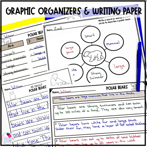 Polar Bears - Nonfiction Unit - Reading Writing - Worksheets - Craft ...