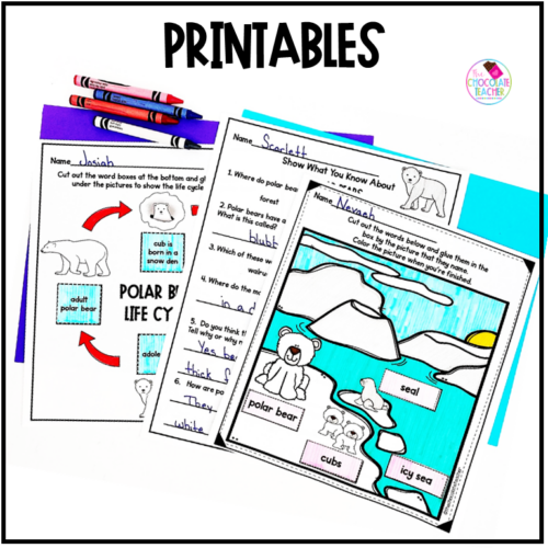 Polar Bears - Nonfiction Unit - Reading Writing - Worksheets - Craft ...