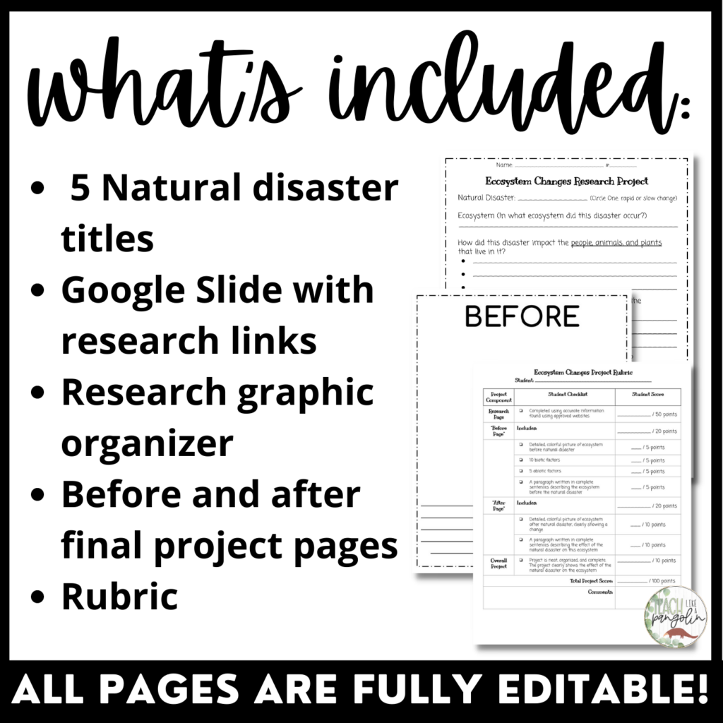 Changes in Ecosystems Research Cross Curricular Project | Made By Teachers