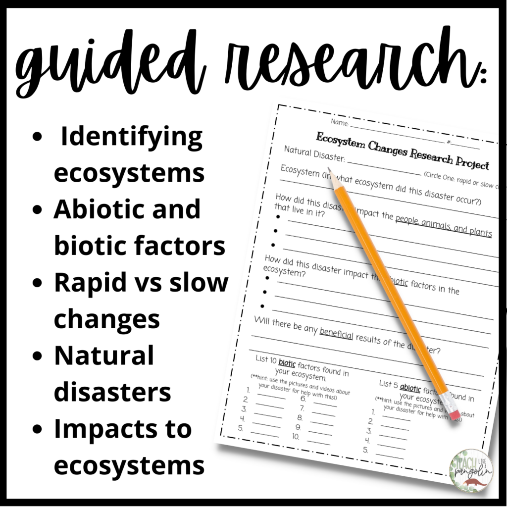 Changes in Ecosystems Research Cross Curricular Project | Made By Teachers