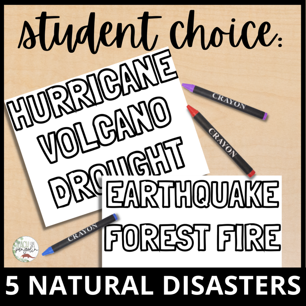 Changes in Ecosystems Research Cross Curricular Project | Made By Teachers