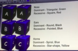 8.LS3.2 Punnett Squares Video Lab | Made By Teachers