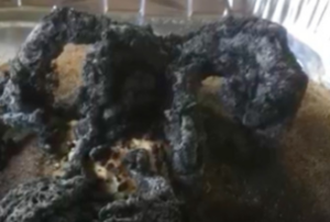 6.PS1.4 What's Lurking Under the Sand (Chemical Reactions) Video Lab ...