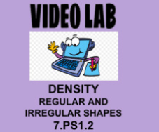 7.PS1.2 MS-PS1-2 Density Video Lab | Made By Teachers