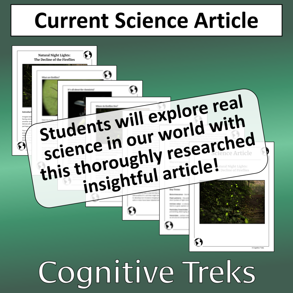 Science Reading Article | Ecology & Life Science | Fireflies ...