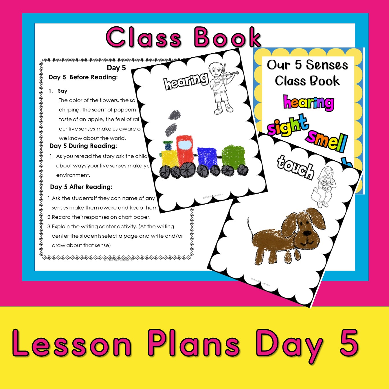 Five Senses Book Study Unit and Lesson Plans | 5 Senses Worksheets and ...