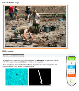 6th Science Lesson Earth's Processes,Plate Tectonics 6.ESS2.2,2.3, MS ...