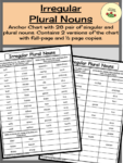 ELA Anchor Chart - Irregular Plural Nouns | Made By Teachers