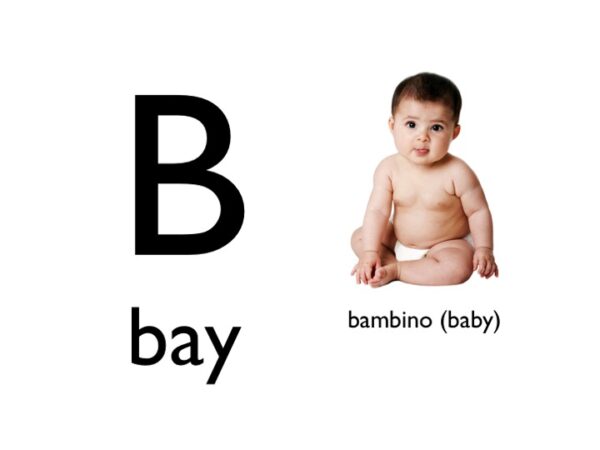 Spanish Picture Alphabet PowerPoint | Made By Teachers