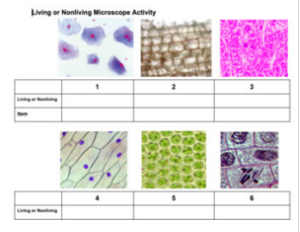 6th Science Lesson Cells and Living Things OAS 6.LS1.1 NGSS MS-LS1-1 ...