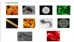6th Science Lesson Cells and Living Things OAS 6.LS1.1 NGSS MS-LS1-1 ...