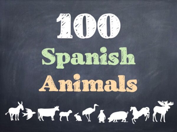 100 Spanish Animals PowerPoint | Made By Teachers