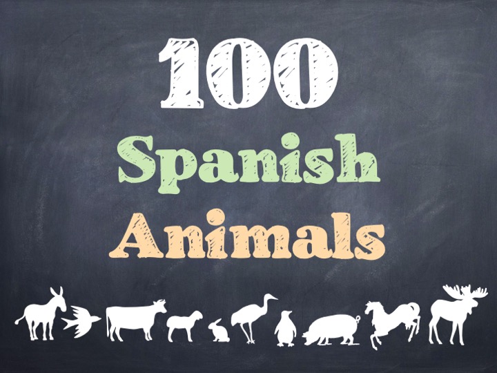 100 Spanish Animals PowerPoint | Made By Teachers