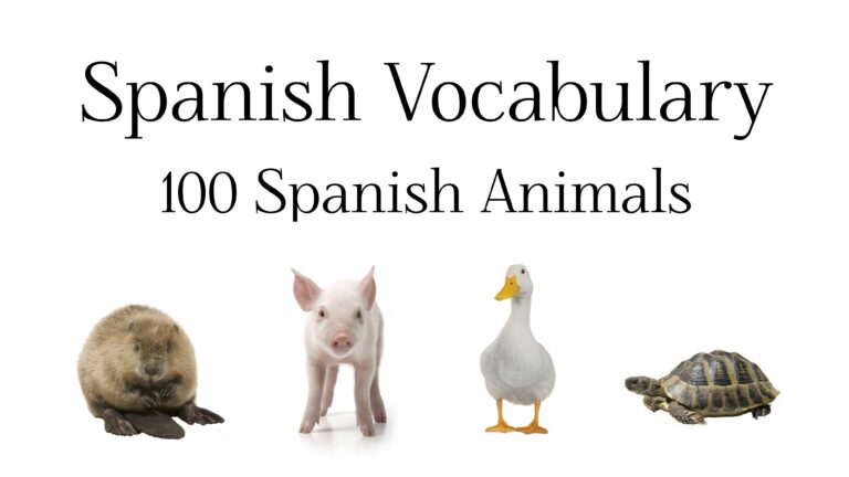 Spanish Picture PowerPoint of 100 Common Animals | Made By Teachers