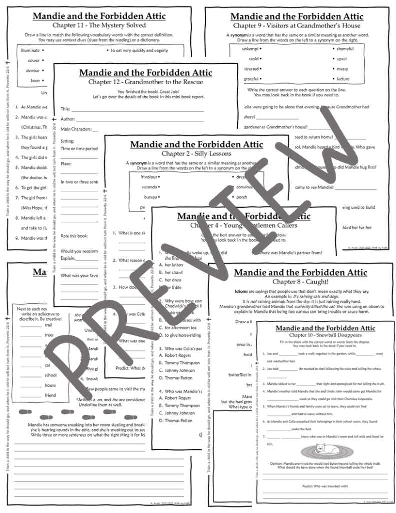 Mandie Books 1-5 Novel Studies Bundle | Made By Teachers