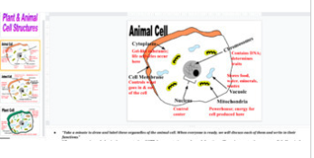 6th Science Lesson Cell Structure and Function OAS 6.LS1.2 NGSS MS-LS1 ...