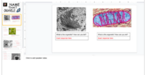 6th Science Lesson Cell Structure and Function OAS 6.LS1.2 NGSS MS-LS1 ...