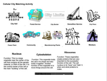 6th Science Lesson Cell Structure and Function OAS 6.LS1.2 NGSS MS-LS1 ...