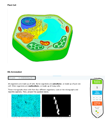 6th Science Lesson Cell Structure and Function OAS 6.LS1.2 NGSS MS-LS1 ...