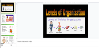 6th Science Lesson Levels of Cell Organization OAS 6.LS1.3 NGSS MS-LS1 ...