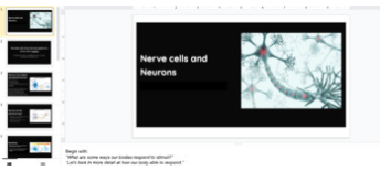 6th Life Science Lesson Plans Bundle OAS NGSS | Made By Teachers