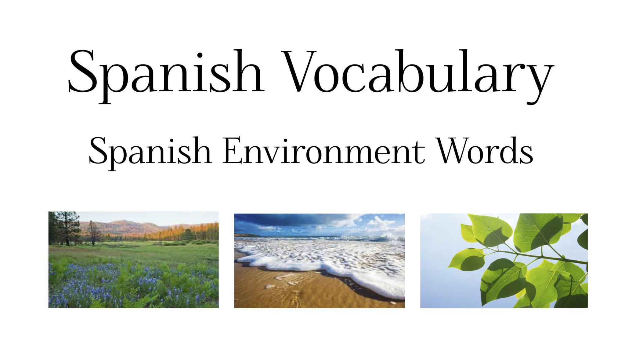 Spanish Picture PowerPoint Of 50 Common Environment Words | Made By ...