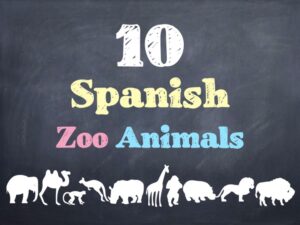 10 Common Spanish Zoo Animals PowerPoint | Made By Teachers