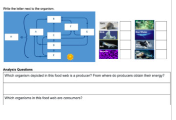 7th Science Lesson Cycling of Matter & Flow of Energy OAS 7.LS2.3 NGSS ...