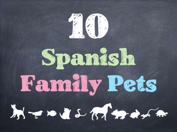 10 Common Spanish Family Pets PowerPoints | Made By Teachers