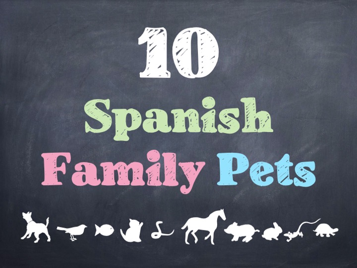 10 Common Spanish Family Pets PowerPoints | Made By Teachers