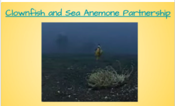 7th Science Lesson Ecosystem Interactions OAS 7.LS2.2 NGSS MS-LS2-2 ...