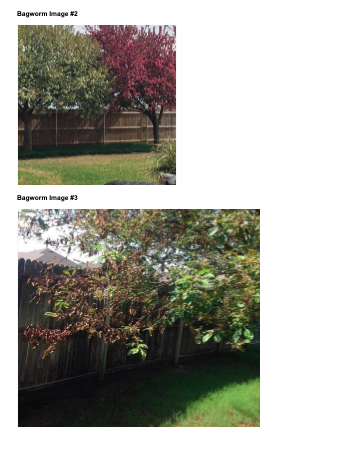 7th Science Lesson Ecosystem Interactions OAS 7.LS2.2 NGSS MS-LS2-2 ...