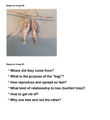 7th Science Lesson Ecosystem Interactions OAS 7.LS2.2 NGSS MS-LS2-2 ...